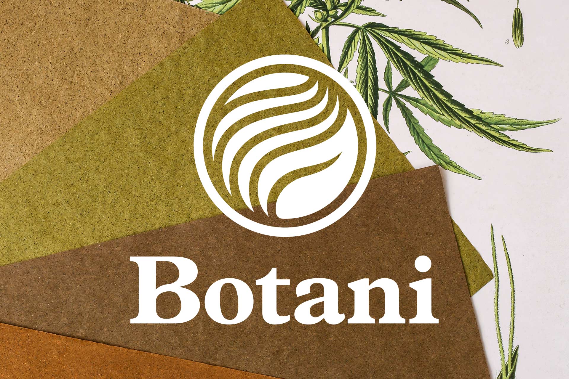 Botani Case Study | Hybrid Marketing Co